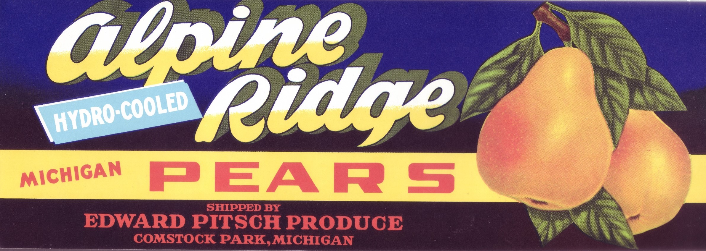 2025 Programs – History Detectives GR